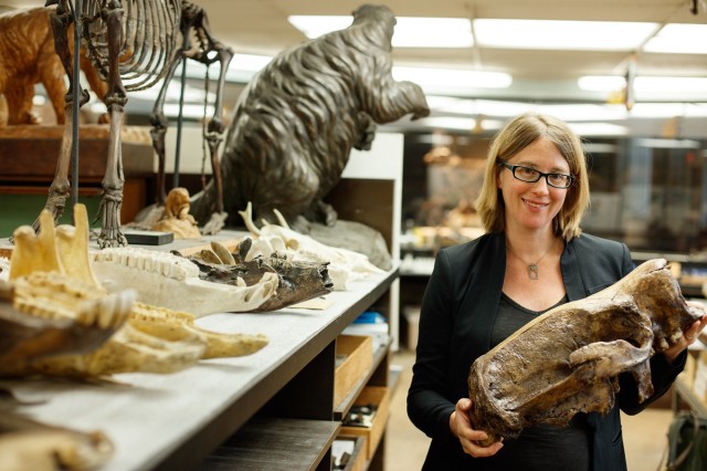 Sloth Soirée | La Brea Tar Pits